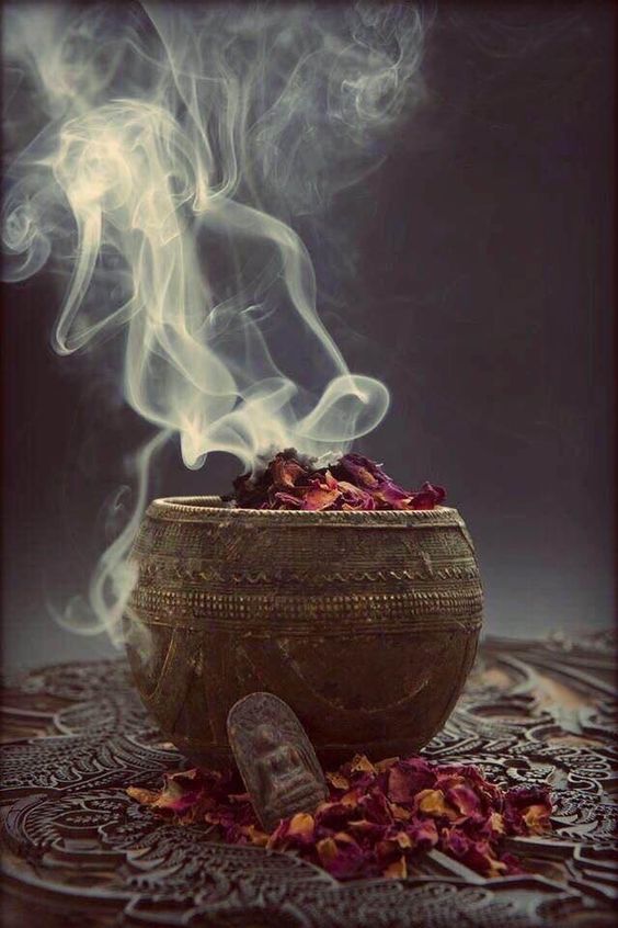 Zioła w magii. Z jakich ziół i w jaki sposób przyrządzamy magiczne ...